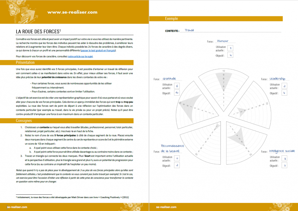 RoueDesForcesAP - Se réaliser